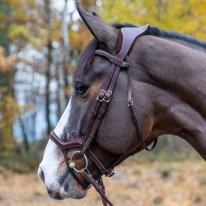 PRECISION Y NOSEBAND Antares bridle Brown | For Horse \ Bridles | Tytuł sklepu zmienisz w dziale ...